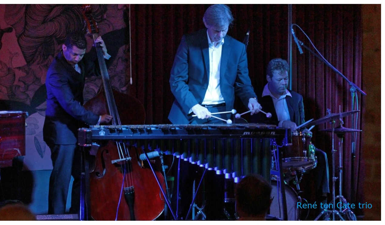 René ten Cate trio - Podium De Nieuwe Kamer